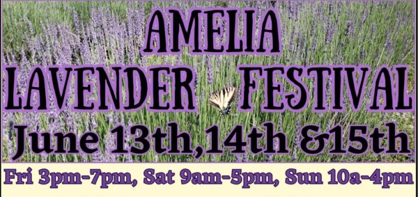 2025 AMELIA LAVENDER FESTIVAL | WWWV 97.5